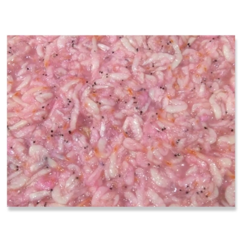 Jual Fermentasi Udang Baring/Hakoi/Cincalok/Ronto Singkawang 1kg ...