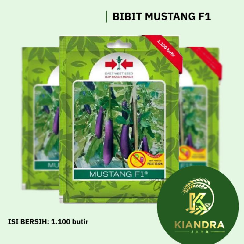 Jual BIBIT BENIH TERONG MUSTANG F1 ISI 1.100BUTIR DARI CAP PANAH MERAH. | Shopee Indonesia