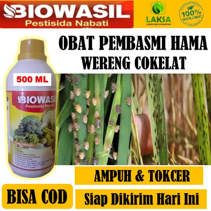 Jual BIOWASIL Pestisida Nabati Obat Hama Padi Paling Bagus - Biowasil ...