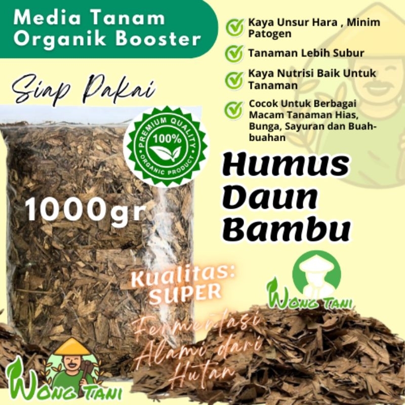Jual HUMUS DAUN BAMBU 1 Kg SUPER - Media Tanam Organik SUPER Fermentasi ...