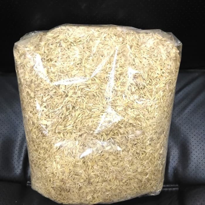 Jual Sekam Padi 1kg Kulit Gabah Media Tanam Alas Hewan Biar Hangat ...