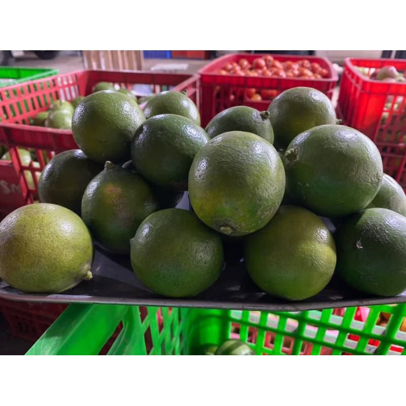 Jual Lemon California Lokal fresh petik pohon 500 gr | Shopee Indonesia