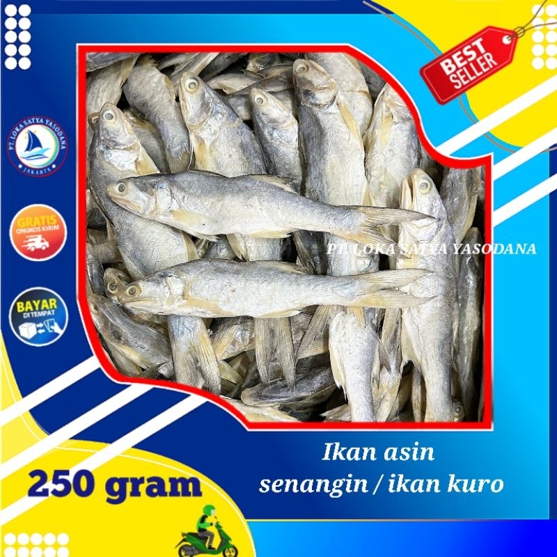 Jual ikan asin kuro / senangin bulat khas sumatera 250gram | Shopee ...