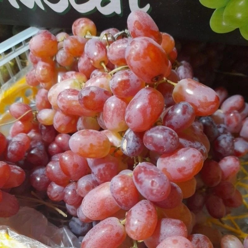 Jual Anggur Crimson Australia ( 1 KG/pack ) | Shopee Indonesia