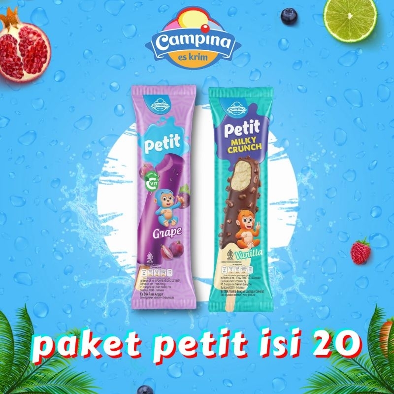 Jual Campina ice cream Paket Petit isi 20 pcs | Shopee Indonesia