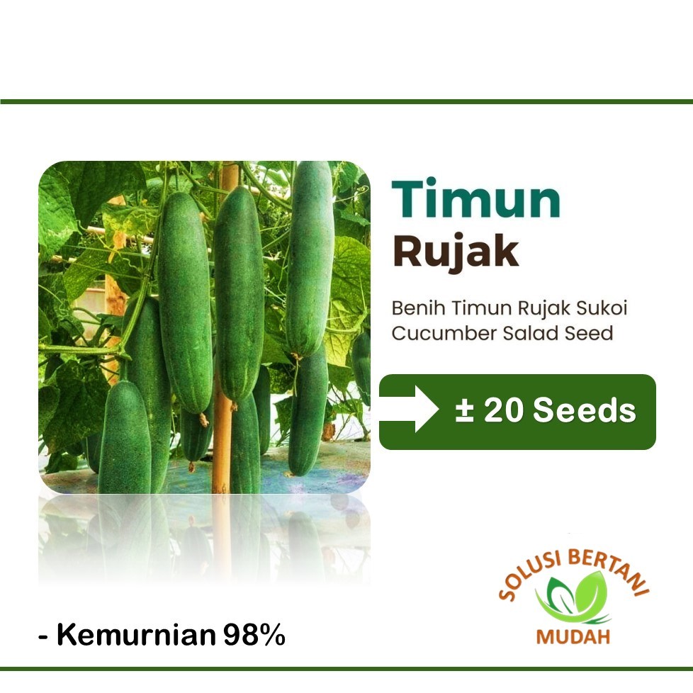 Jual 10 Biji - Benih Bibit Tanaman Sayur Mentimun Timun Rujak Hibrida ...