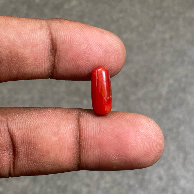 Jual natural Red Coral Morocco batu Marjan Morocco Dim 14.5x6x6 ...