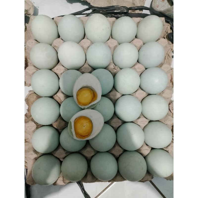 Jual Telor asin nikmattt(bebek) | Shopee Indonesia