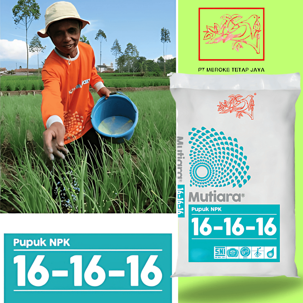 Jual PUPUK NPK 16-16-16 Mutiara Meroke 1kg Kemasan Pabrik | Shopee ...