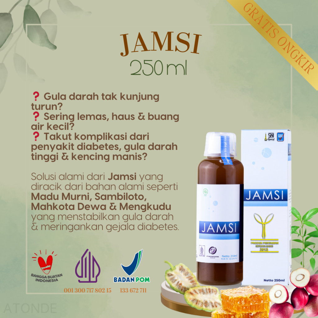 Jual Jamsi 250ml Solusi Anti Diabetes Melitus Kering Basah Tipe 1 2 ...
