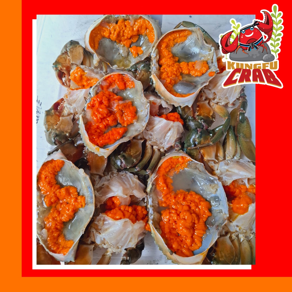 Jual KUNGFUCRAB Kepiting Hidup Betina Telur Garansi Daging Tebal Farm ...