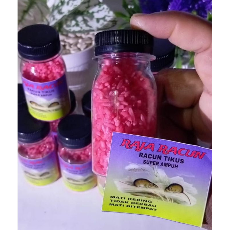 Jual raja racun, racun tikus super ampuh, langsung mati di tempat ...