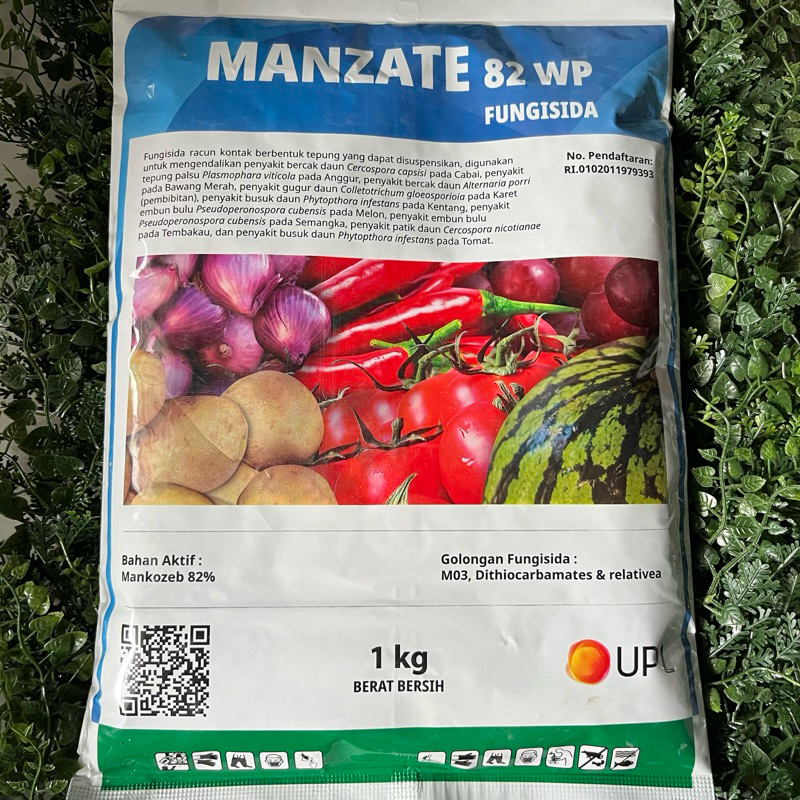 Jual Manzate 82WP 1kg - Fungisida | Shopee Indonesia