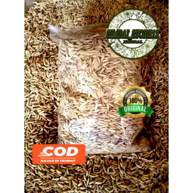 Jual BENIH PADI BERAS MERAH PER PACK BENIH PADI SUPER MURAH | Shopee ...