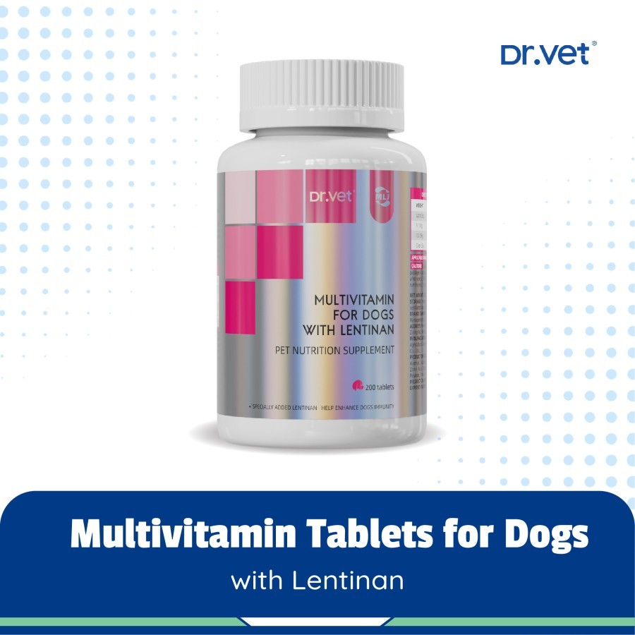 Jual Dr.Vet Multivitamin Tablets for Dogs (Lentinan) - 200 Tablets ...