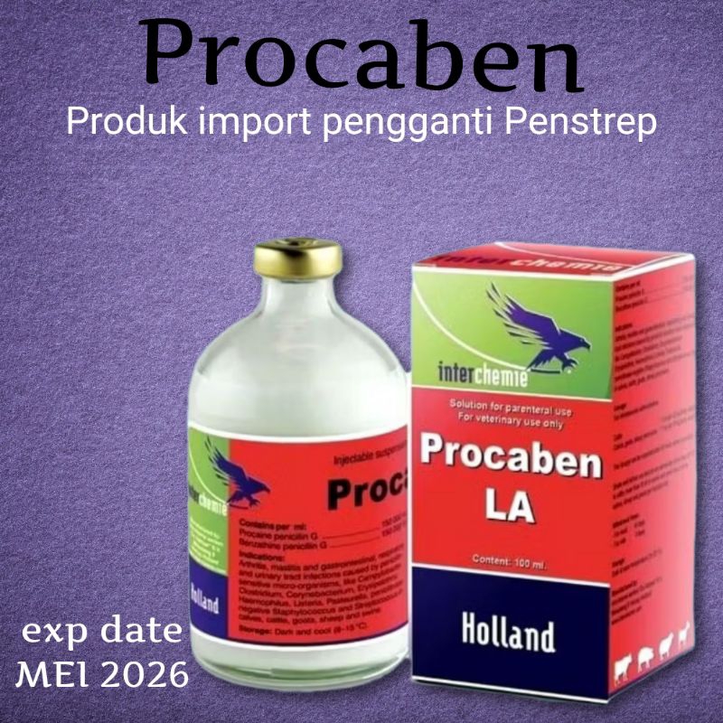 Jual Procaben la 100 ml Original pengganti Penstrep antibiotik obat ...