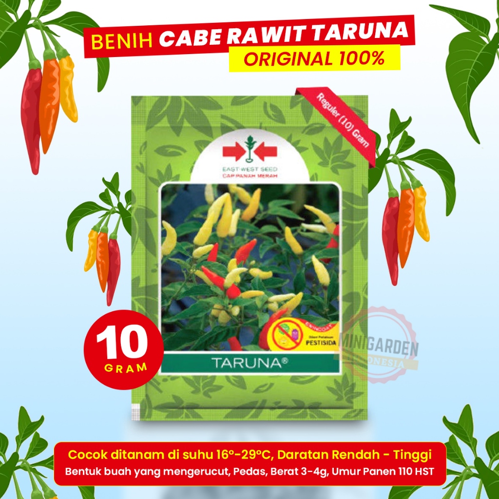 Jual 1 Pack 10 Gr Benih Cabai Rawit Taruna Panah Merah Bibit tanaman ...