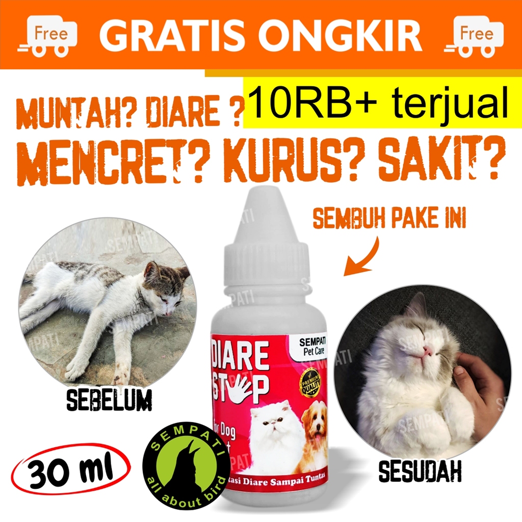Jual SEMPATI Obat Kucing Mencret Diare Stop 30 Ml Obat Kucing Sakit ...