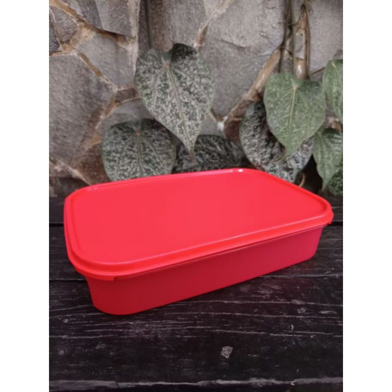 Jual MM RECTA 2L TUPPERWARE | Shopee Indonesia