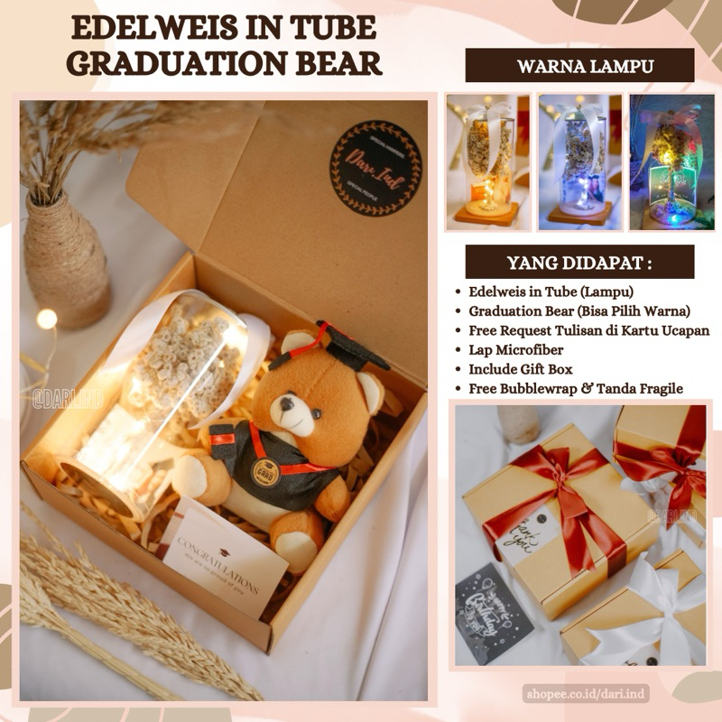 Jual HADIAH WISUDA Edelweiss Flower In Tube + Graduation Bear / Kado ...