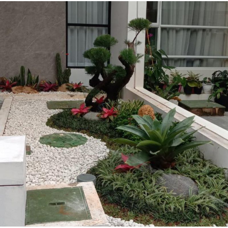 Jual taman simple depan rumah | Shopee Indonesia