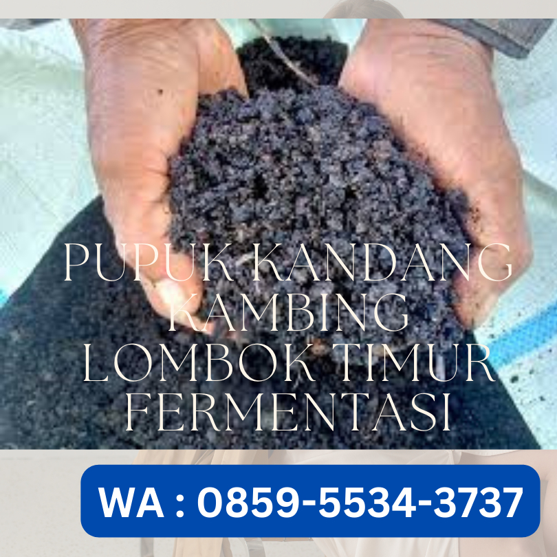 Jual PUKAN / PUKAN KAMBING /PUPUK KANDANG / PUPUK KANDANG KAMBING ...