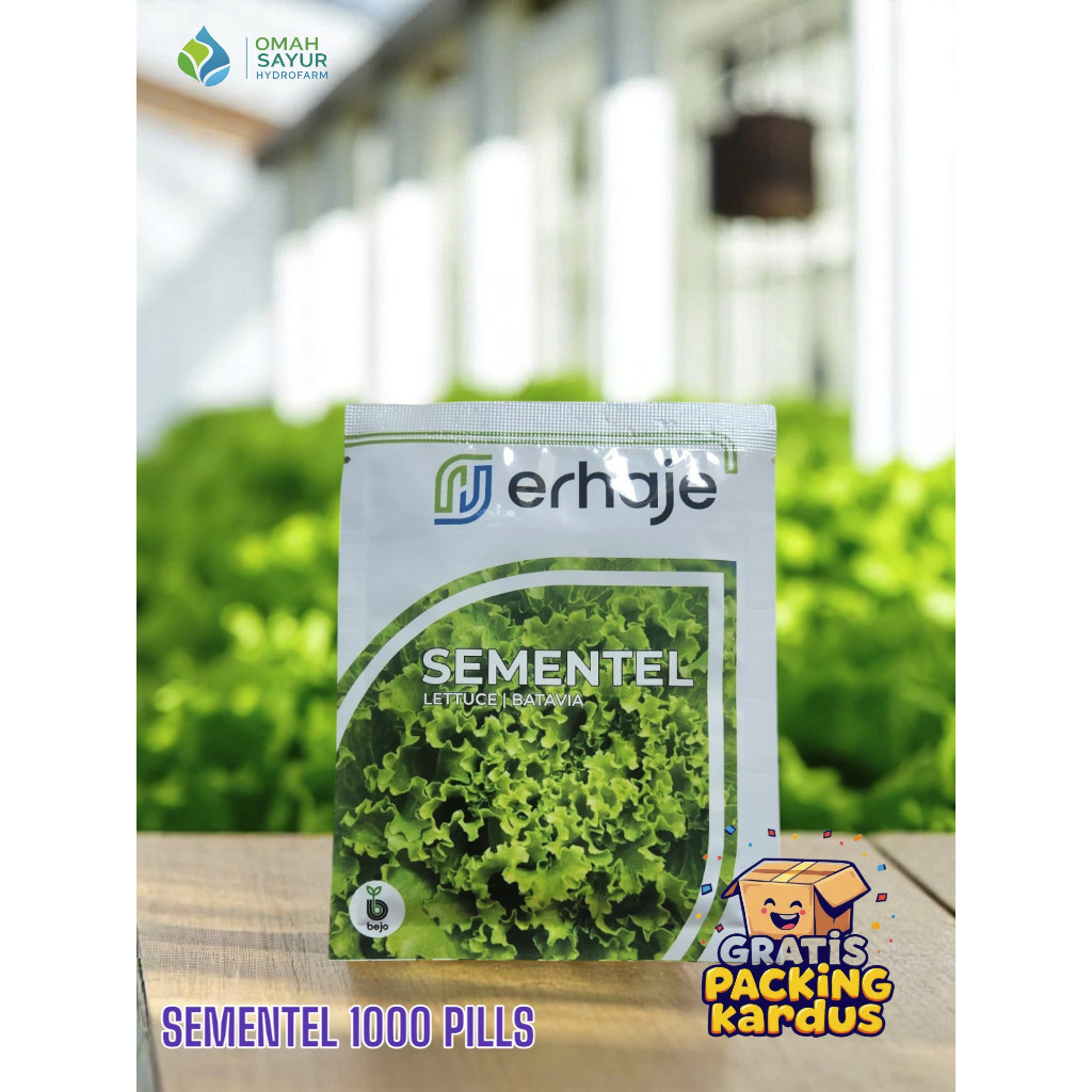 Jual [1000 Pills] Benih Selada Bejo SEMENTEL Benih Lettuce Batavia By ...