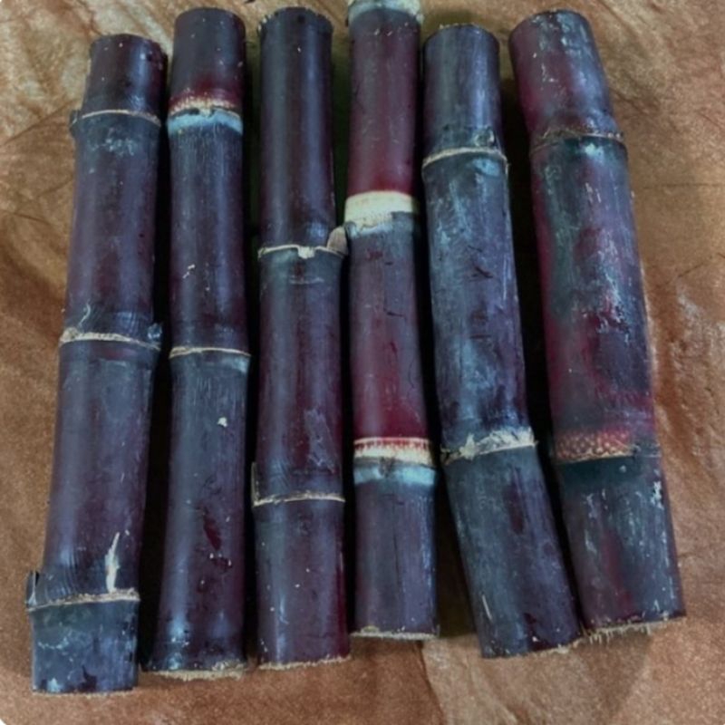 Jual tebu hitam atau tebu ireng asli 1kg | Shopee Indonesia