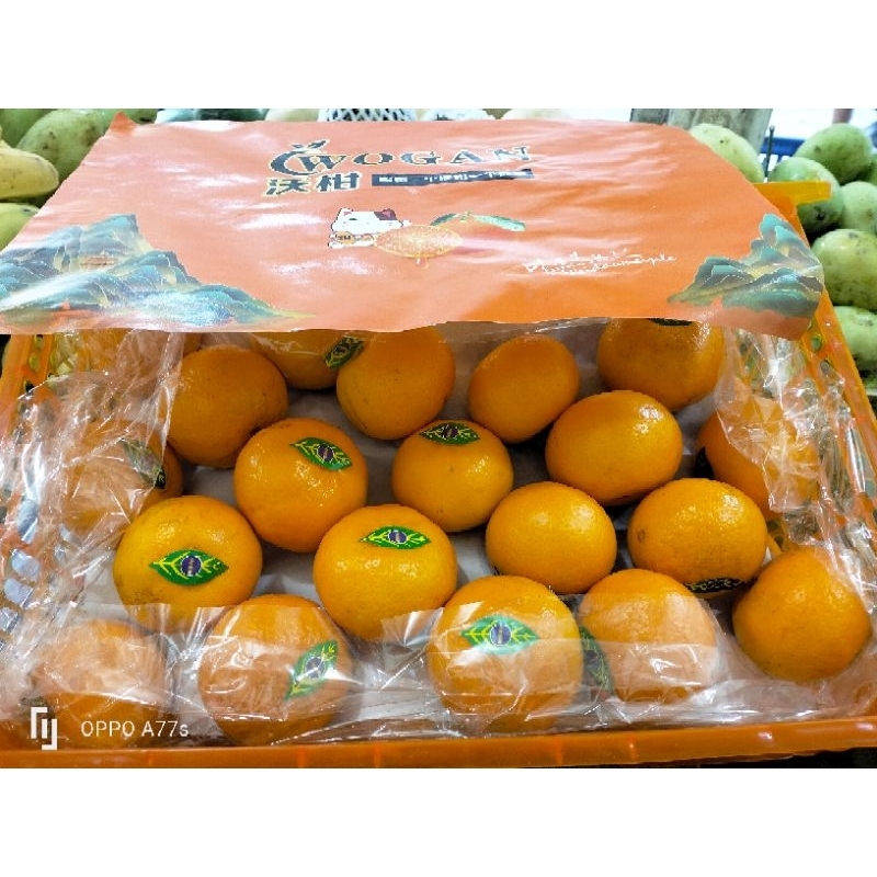 Jual Jeruk Mandarin 1kg | Shopee Indonesia