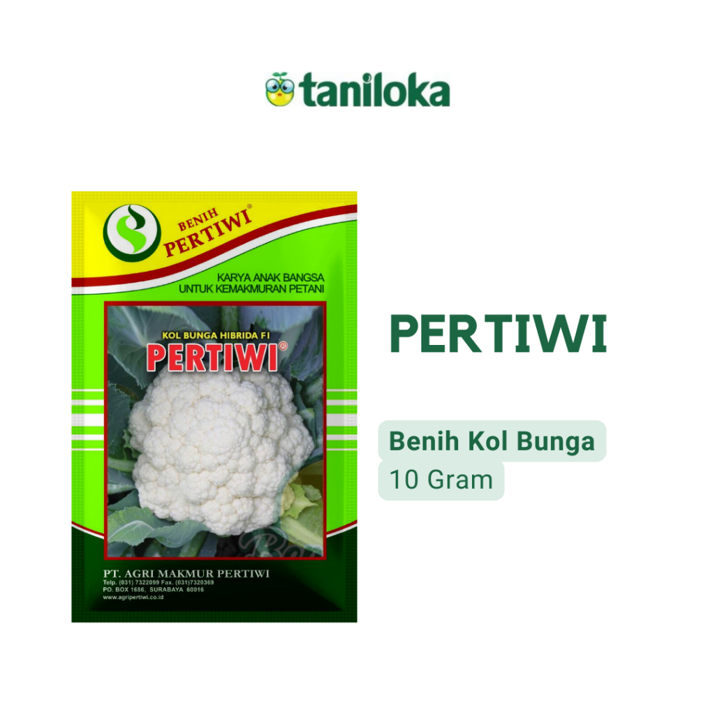 Jual Benih Pertiwi - Benih Kol Bunga Pertiwi (10 Gram) | Shopee Indonesia