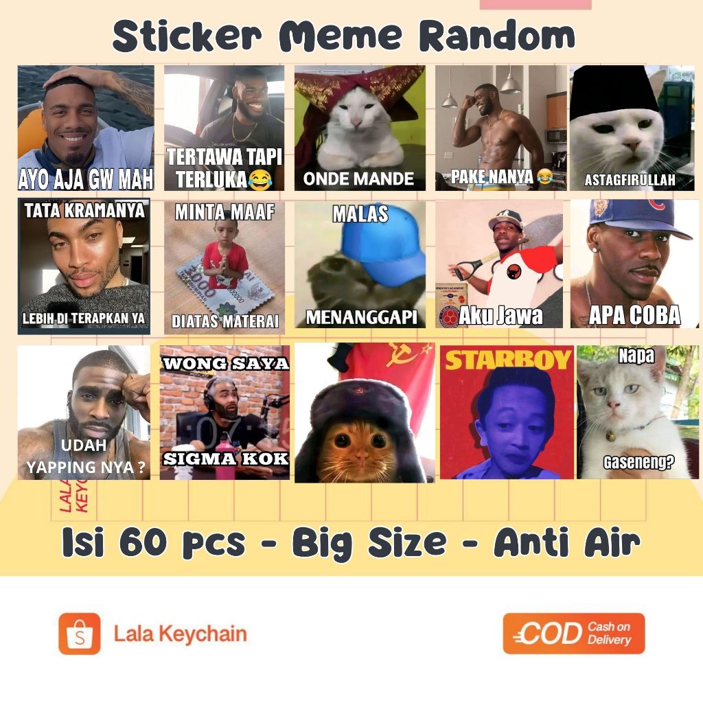 Jual STICKER MEME ABSURD ISI 60PCS • ANTI AIR • BIG SIZE | Shopee Indonesia