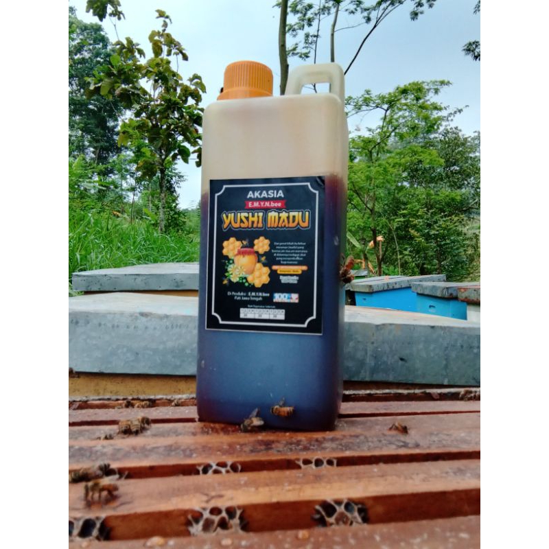 Jual Madu hutan akasia 1kg || MADU ASLI 100% || YUSHI MADU || madu ...
