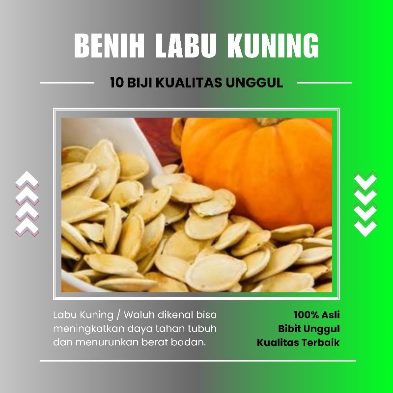 Jual INDOTANI_ 10 biji Benih Labu Kuning / Waluh / Labu Jumbo Kuning ...