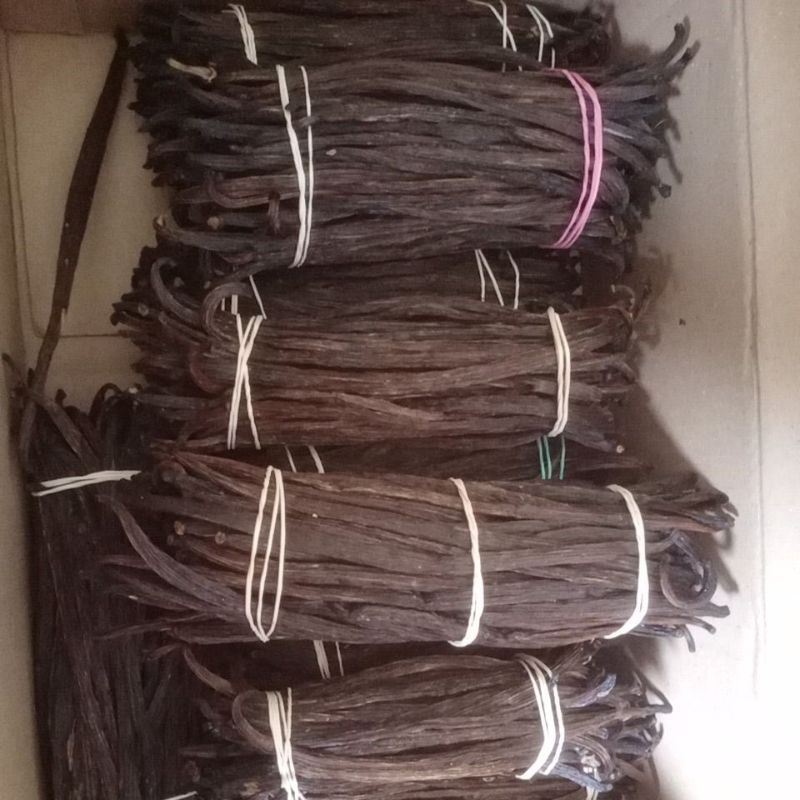 Jual vanili kering satuan | Shopee Indonesia