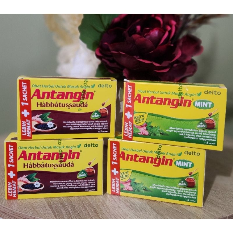 Jual Antangin Mint // Habbatussauda +Madu 1 BOX isi 5 Sachet+1 15ml ...