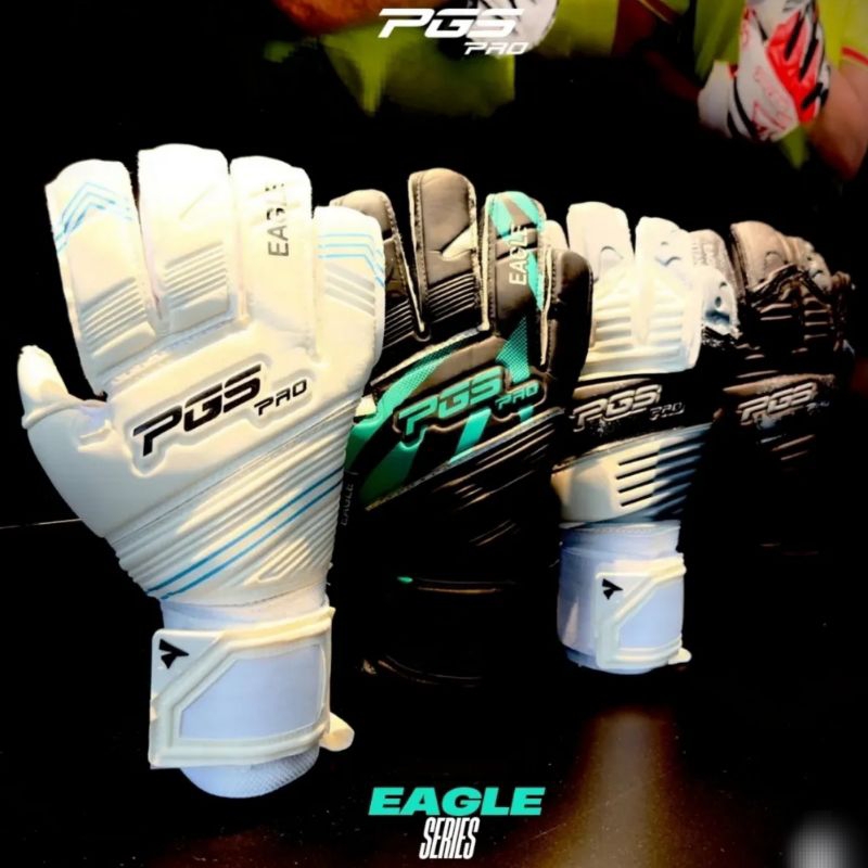 Jual Sarung Tangan Kiper GK Gloves PGS Pro Eagle Series Titanium ...