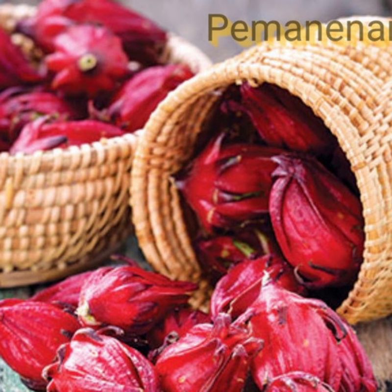 Jual BENIH/BIJI HERBA ROSELLA MERAH (200 butir) | Shopee Indonesia