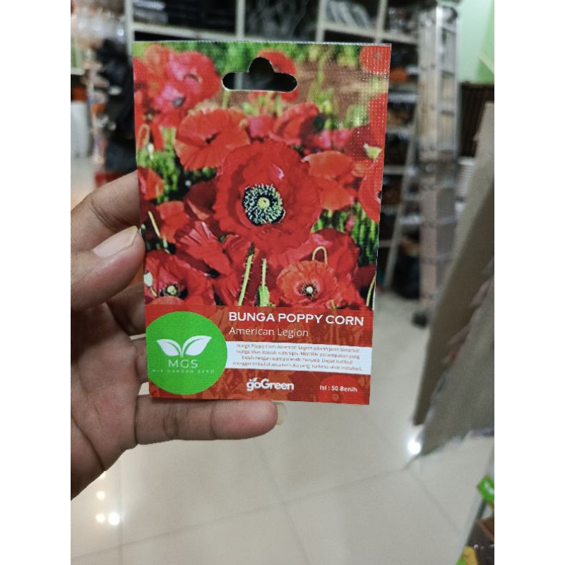 Jual Benih Biji Bunga Poppy Corn American Legion Benih bunga cantik ...
