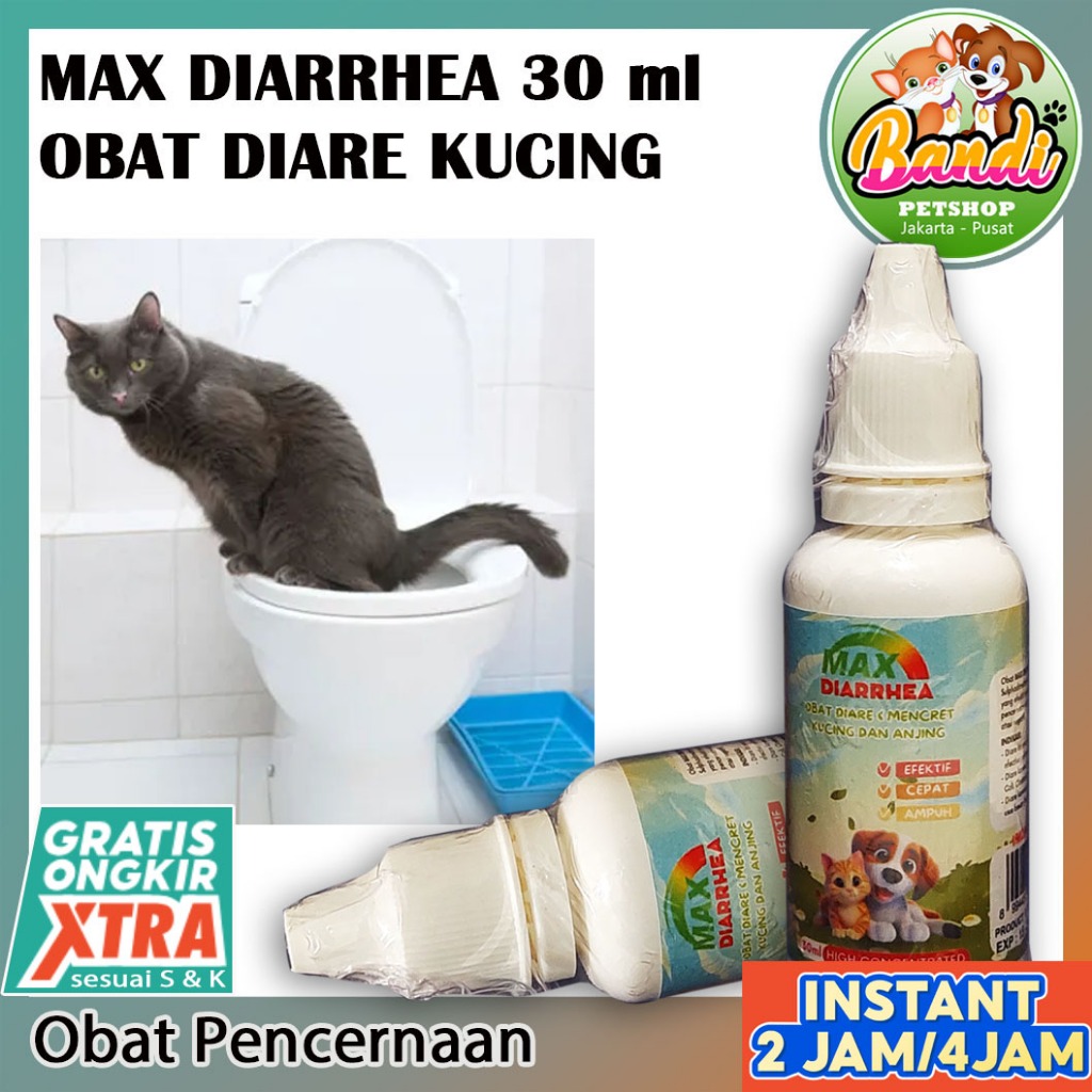 Jual Obat diare kucing mencret pencernaan karena bakteri dan virus Max ...
