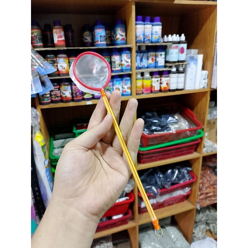 Jual SEROKAN 5 CM ARTEMIA GG BAMBU // 5 CM // SEROKAN // AQUARIUM ...