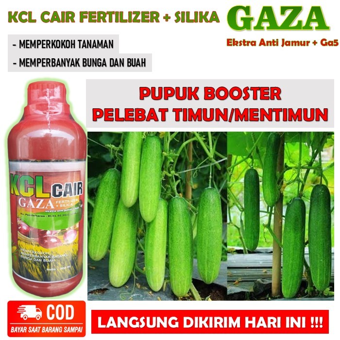 Jual KCL CAIR FERTILIZER + SILIKA GAZA Ekstra Anti Jamur + Ga5 pupuk ...