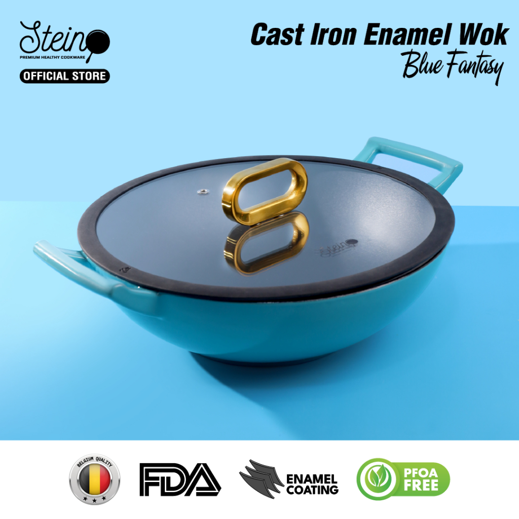 Jual STEIN Cast Iron Wok | Inner Coating Enamel Belgia Europe | Non ...