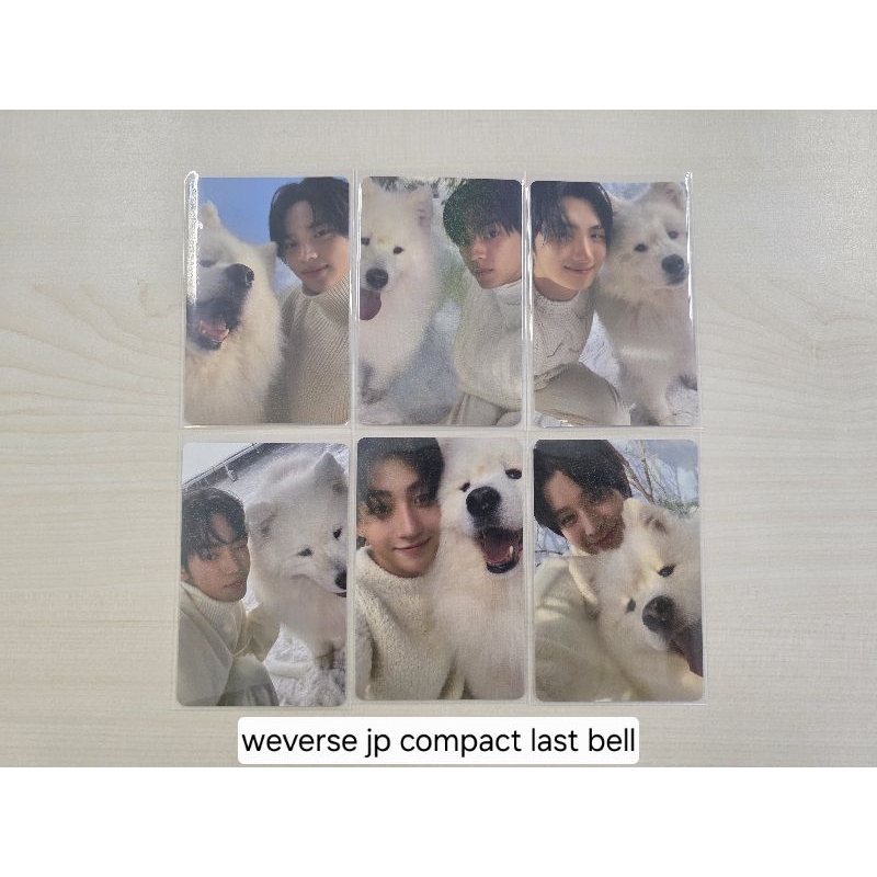 Jual TWS LAST BELL COMPACT WEVERSE JAPAN OFFICIAL PHOTOCARD | Shopee Indonesia