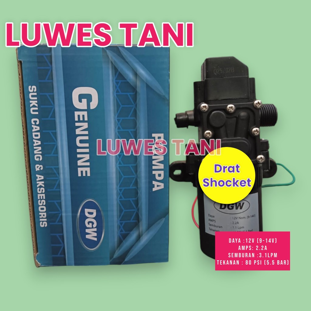 Jual Dinamo DGW (DRAT-SOCKET) pompa air DC DGW original elektrik ...