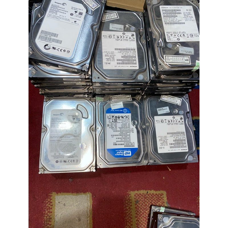 Jual Hardisk Hdd Sata Pc 250gb sentinel 100 Merk Campur | Shopee Indonesia
