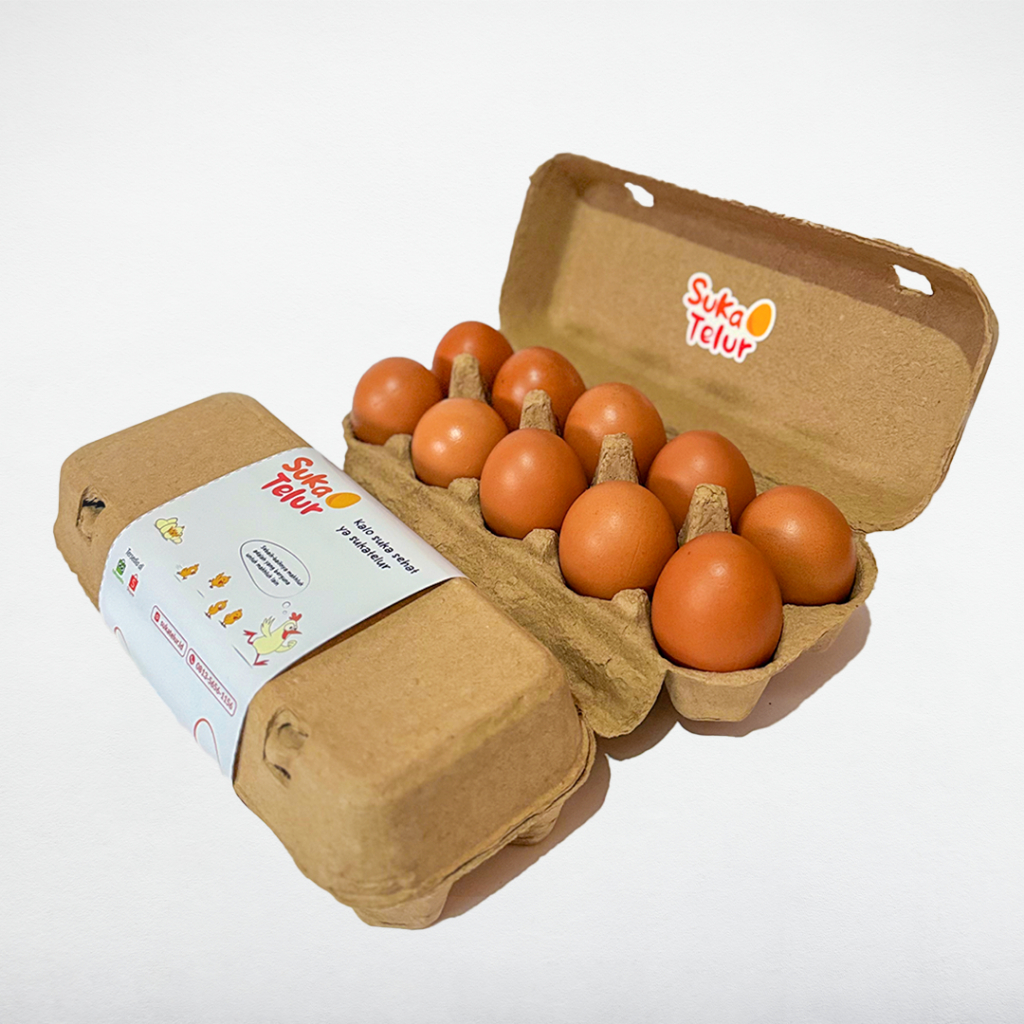 Jual Telur Omega 3 Fresh (10 Butir) - Telur Sehat Anak & Keluarga ...