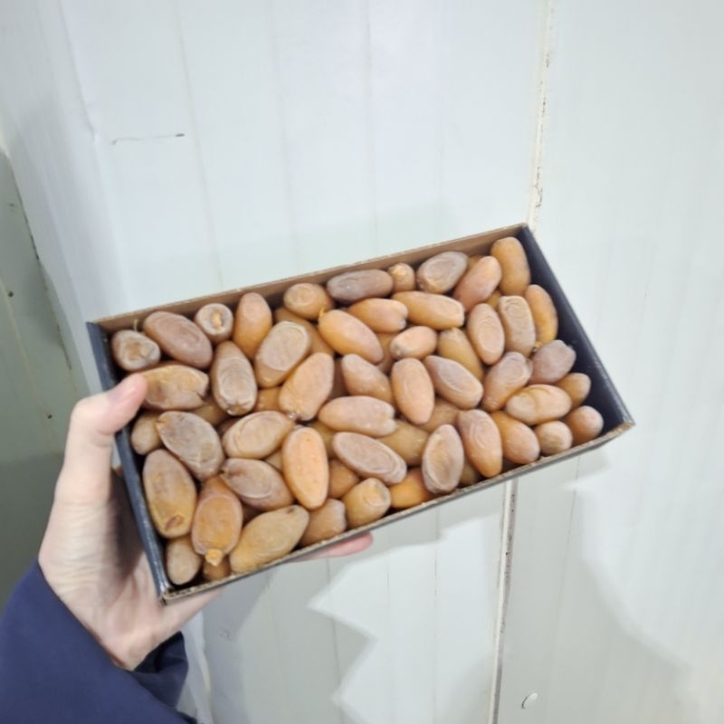 Jual Kurma Ruthob Libya 1kg kurma Setengah Matang Panen Terbaru Frozen ...