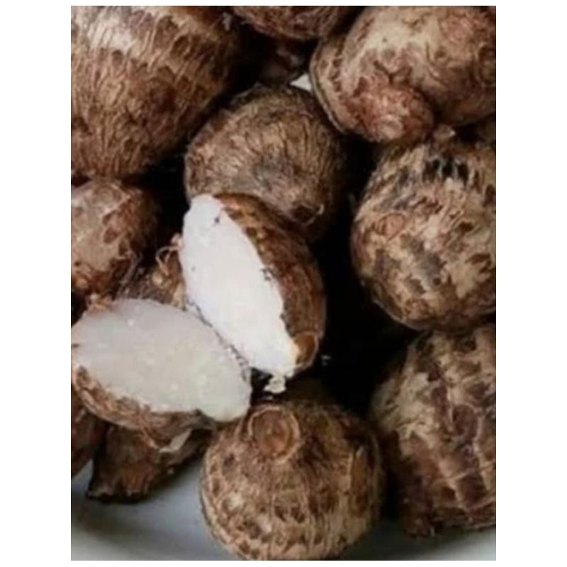 Jual MBOTE / MBOTHE / UMBI TALAS / MBOTE SEGAR | Shopee Indonesia