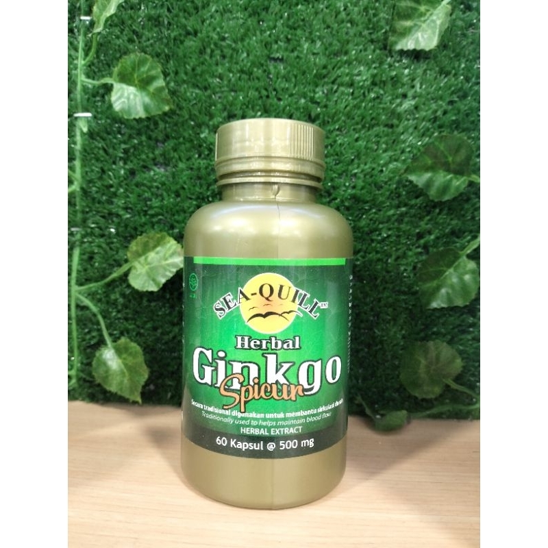 Jual Sea Quill Gingko Spicur isi 60 kapsul | Shopee Indonesia