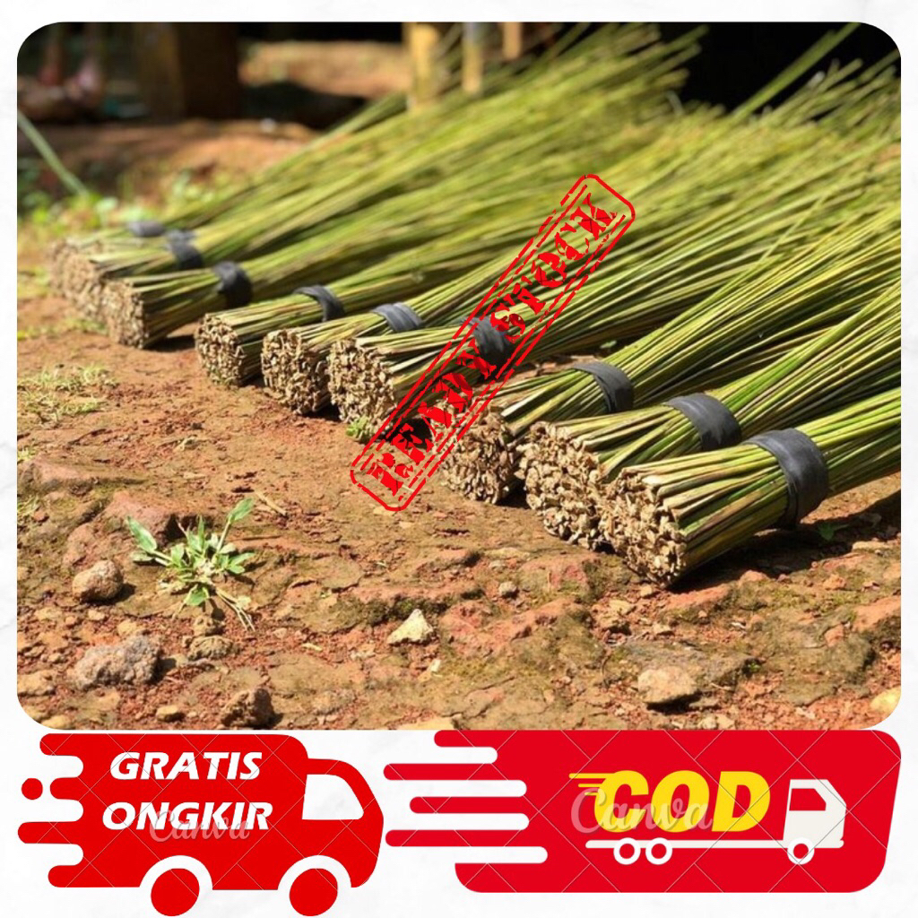 Jual Promo Sapu lidi Aren/Sapu lidi pohon aren | Shopee Indonesia